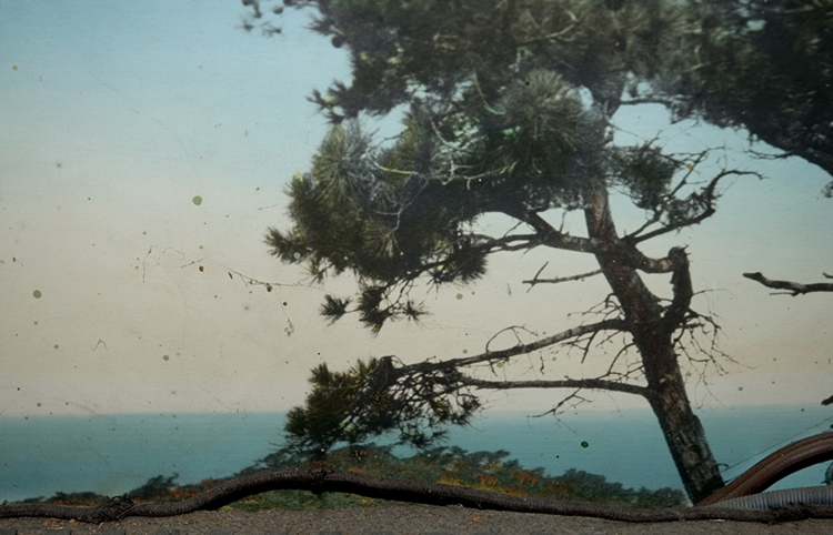 Laura Plageman | People of Print