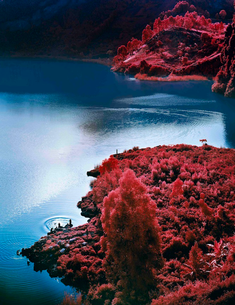Richard Mosse :: The Enclave | People of Print