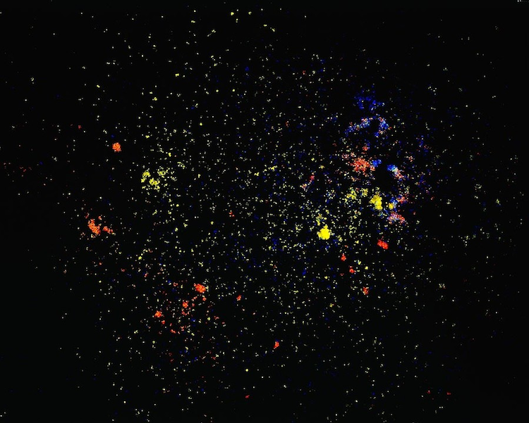 Alexander Harding | People of Print