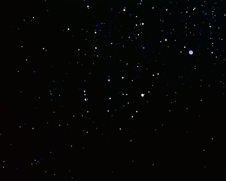 Alexander Harding | People of Print