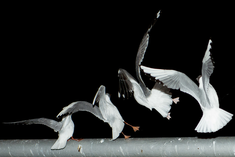 Michael Rudd | People of Print