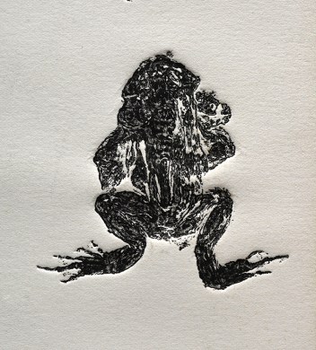 Lizzy JO | People of Print