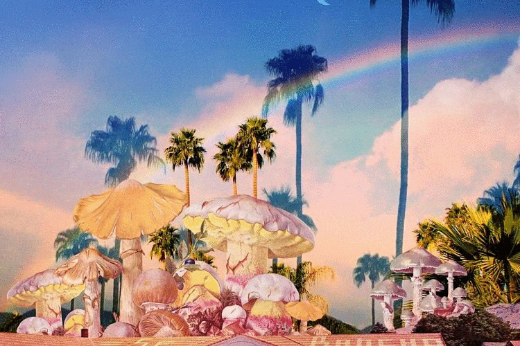 POP Member Showcase: 5 Digital Prints | People of Print