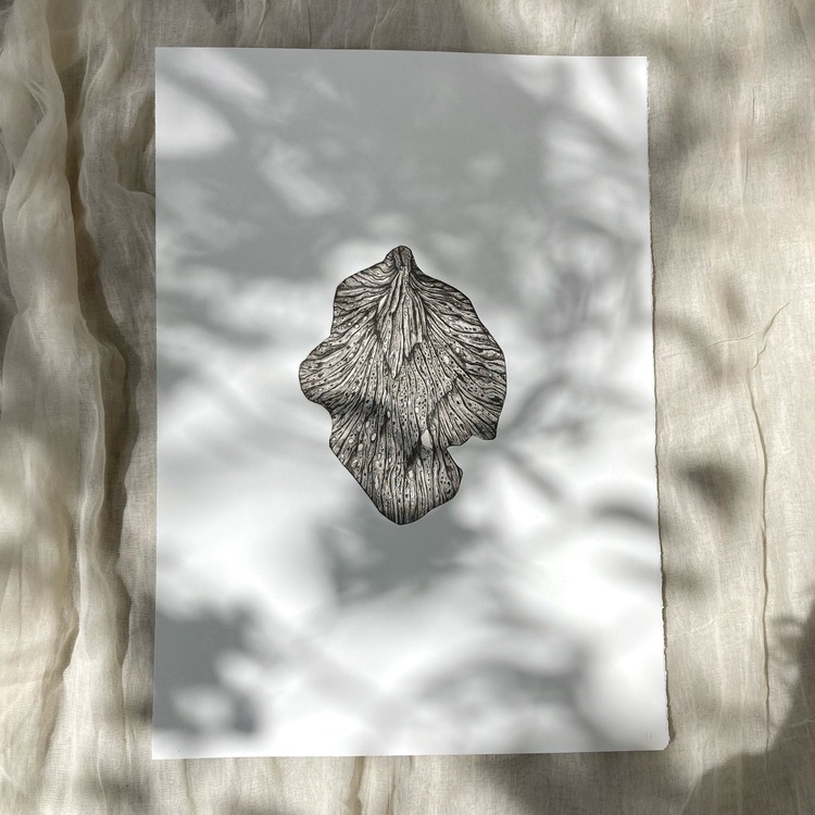 Neve Clarke | People of Print