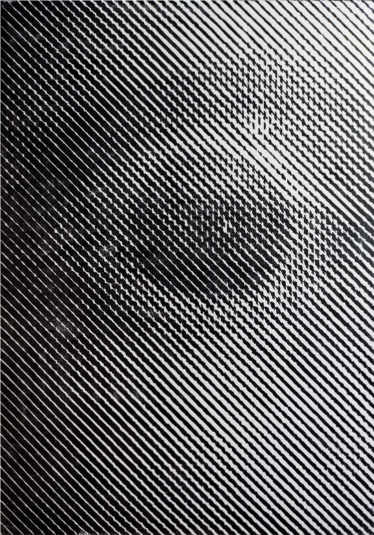 Jacek Ambroszczyk | Barrier Grid Lino Animation | People of Print